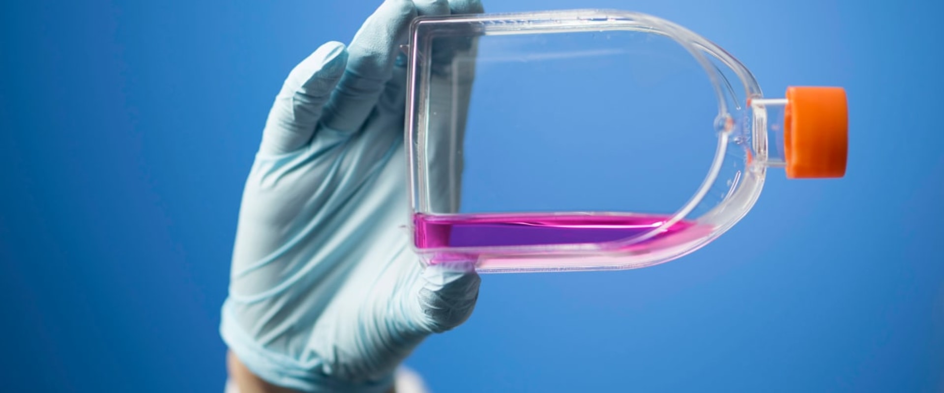 Why is biotechnology sometimes called an issue?